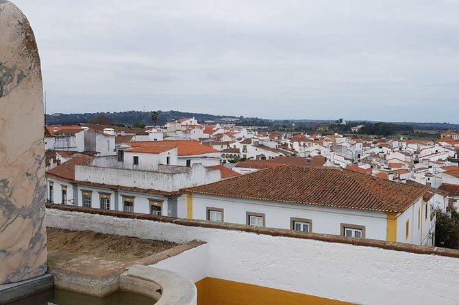 Évora Private Tour - Cork Factory Visit & Wine Tasting Included - Practical Details & What to Expect