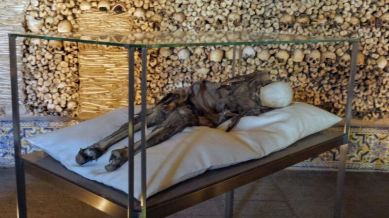 Evora University, Cathedral & Bones Chapel  SkipLine + Wine - Practical Tips for Making the Most of This Tour