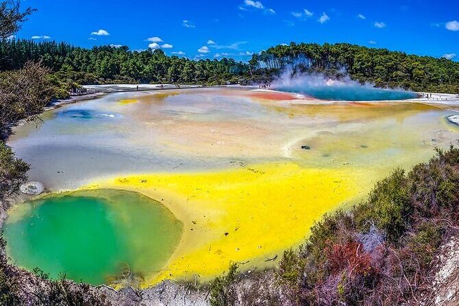 Ex Hamilton: TRIPLE DEAL Wai O Tapu, Redwood Forest & Blue Spring - Who Is This Tour Best For?