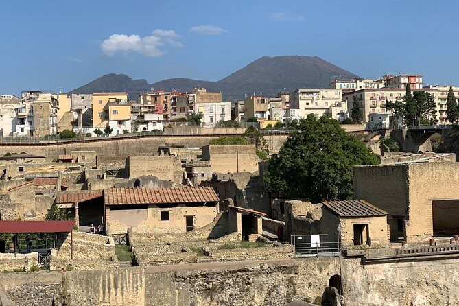 Excellence Private Herculaneum Guided Tour with an Archeologist - Authentic Insights from Past Participants