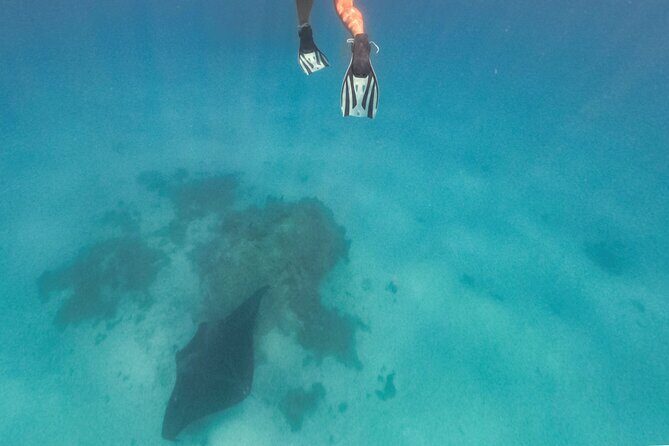 Exceptional Half Day on the Bora Bora Lagoon in Combo - Key Points