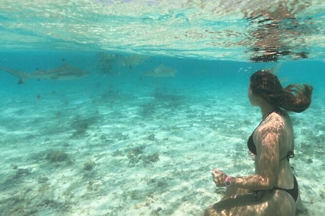 Exceptional Half Day on the Bora Bora Lagoon in Combo - An In-Depth Look at the Bora Bora Lagoon Tour