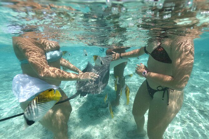 Exceptional Half day on the turquoise lagoon of Bora Bora - Exploring the Bora Bora Lagoon on a Half-Day Adventure