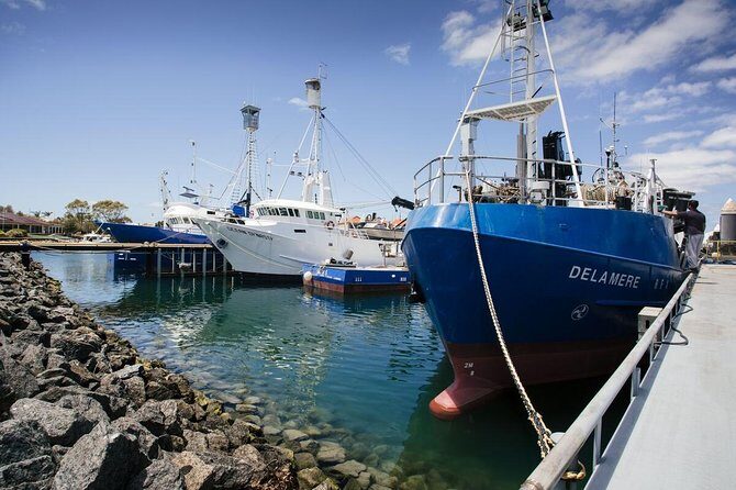 Exceptional Port Lincoln, Seafood and Wildlife Tour - How the Day Begins: Port Lincoln’s Fishing Fleet