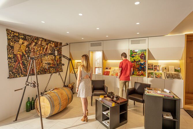 Exceptional visit and tasting of 7 wines - Key Points  