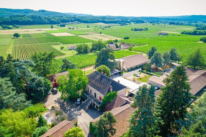 Exceptional visit and tasting of 7 wines - In-Depth Review of the Tour Experience