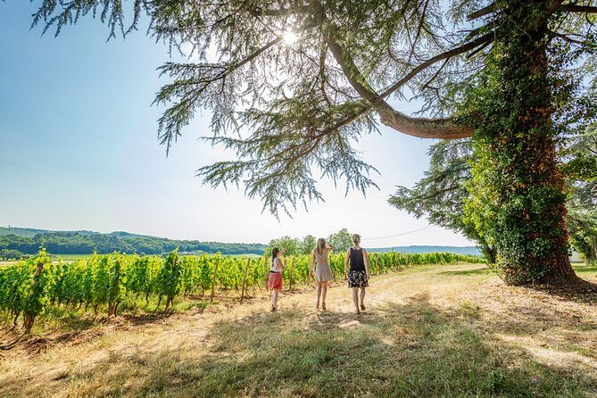 Exceptional visit and tasting of 7 wines - Practical Details and Tips for Visitors