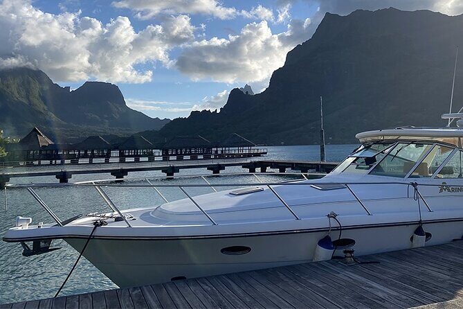 Exceptional whale watching in a Tahiti Yacht - Key Points