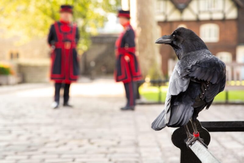 Exclusive Beefeater Meet & Greet at the Tower of London - Final Thoughts: Is This Experience Right for You?