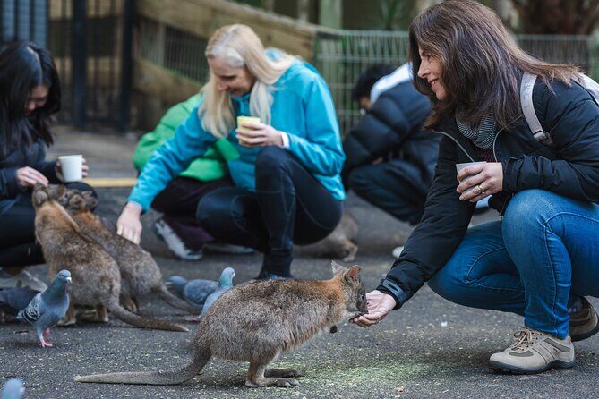 Exclusive Blue Mountains Wildlife and Bushwalk Tour From Sydney - The Complete Experience: What You Can Expect
