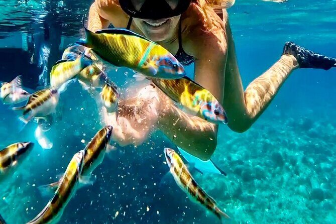 Exclusive boat tour for up to 8 people, beautiful Tropea - In-Depth Look at the Tropea Boat Tour Experience