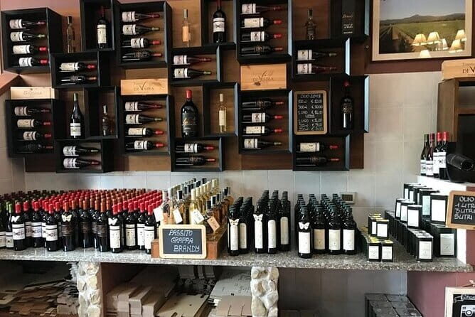 Exclusive Bolgheri from Florence: The Land of the Super Tuscan - The Itinerary Breakdown: What Makes Each Stop Special
