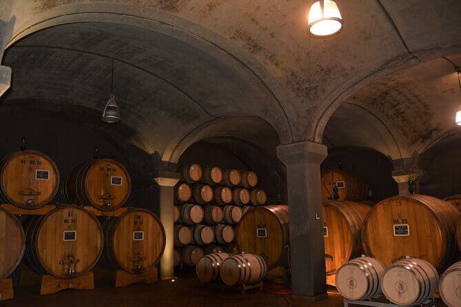 Exclusive Brunello di Montalcino tour from Florence - An Honest Look at the Exclusive Brunello di Montalcino Tour from Florence