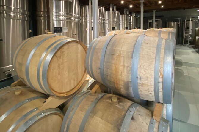 Exclusive Champagne Cellars & Dom Perignon Vineyards tour - The Charm of a Small-Group Tour