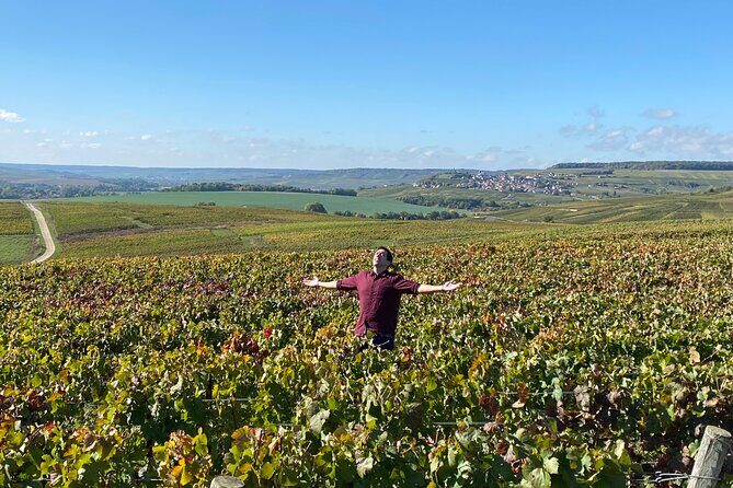 Exclusive Champagne Cellars & Dom Perignon Vineyards tour - The Real Value of This Tour