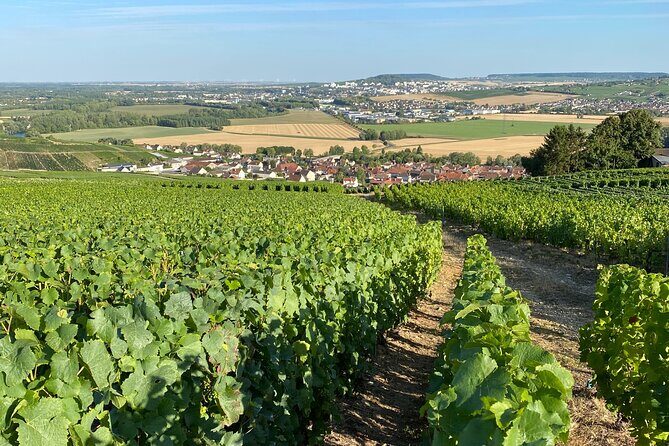 Exclusive Champagne Cellars & Dom Perignon Vineyards tour - Who Will Love This?