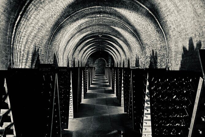 Exclusive Champagne Cellars & Dom Perignon Vineyards tour - Final Thoughts