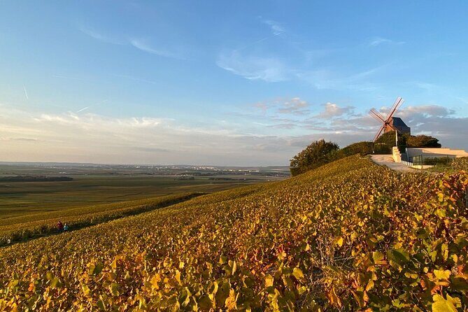 Exclusive Champagne Tour: 1 Famous+1 Boutique House & Restaurant - The Value for Champagne Enthusiasts and Culture Seekers
