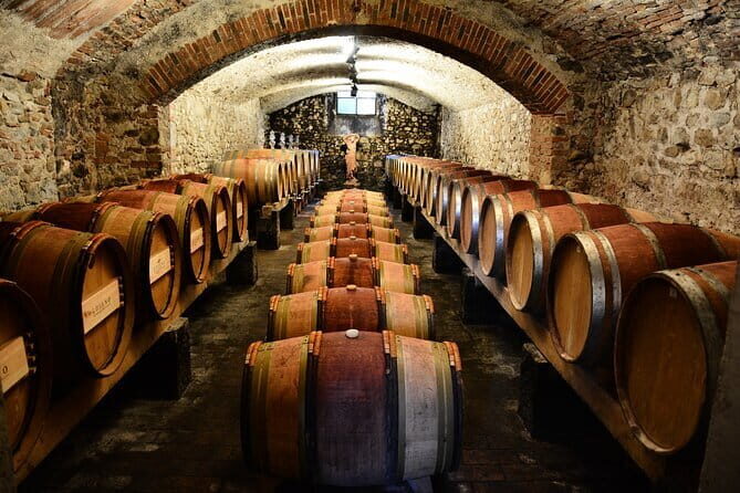 Exclusive Chianti Classico Day Trip from Florence - Exploring the Exclusive Chianti Classico Day Trip from Florence