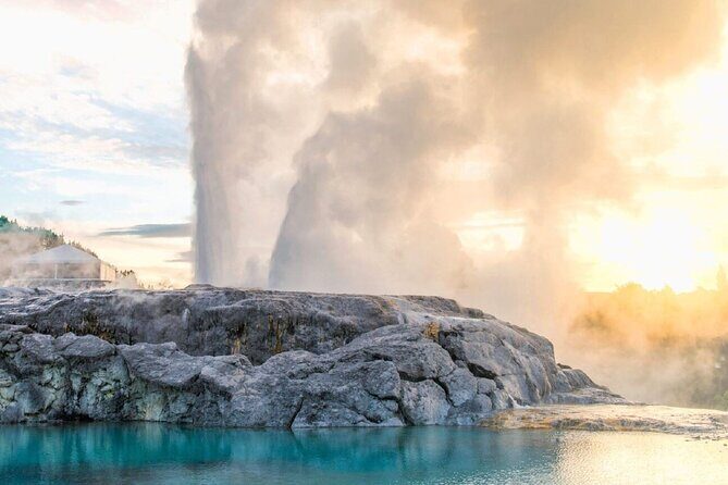 Exclusive Day Trip from Te Puia to Wine Tasting and Redwoods - Introduction