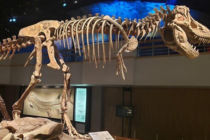 Exclusive Drumheller Private Tour from Calgary - Who Is This Tour Best For?