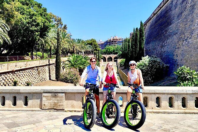 Exclusive Fat Tire E-Bike Tour in Palma - What to Expect from the Itinerary