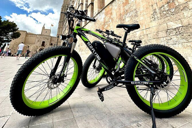 Exclusive Fat Tire E-Bike Tour in Palma - Final Thoughts