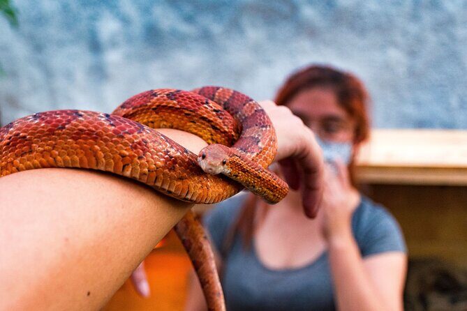 EXCLUSIVE Floating Adventure of Xochimilco - small groups - Frequently Asked Questions