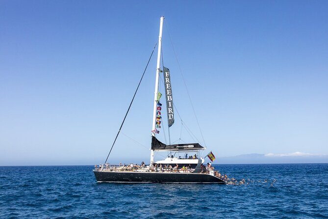 Exclusive Freebird Catamaran Whale & Dolphin to Masca From South - Key Points