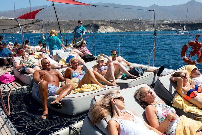Exclusive Freebird Catamaran Whale & Dolphin to Masca From South - The Experience You Can Expect
