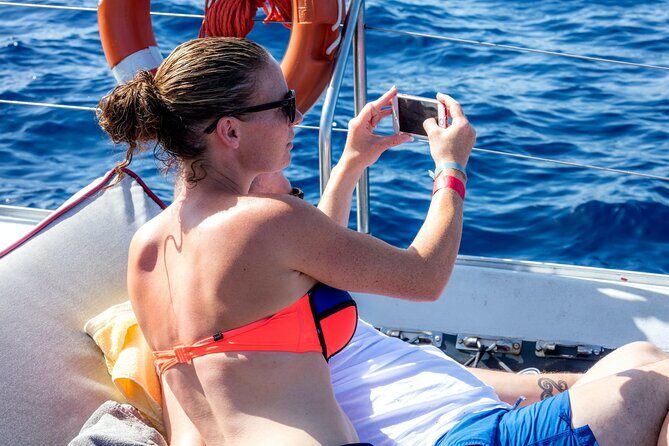 Exclusive Freebird Catamaran Whale & Dolphin to Masca From South - Frequently Asked Questions