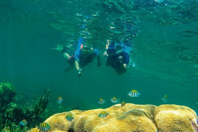 Exclusive Full Day Nature Expedition in Sian Ka'an - FAQs