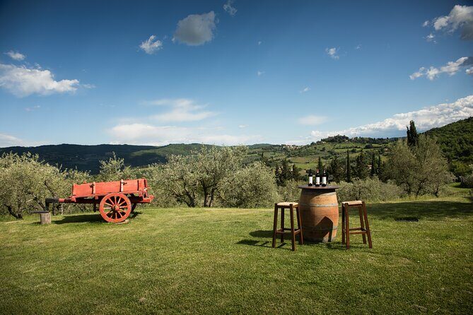 Exclusive lunch, Winery tour, Organic wines in Chianti Classico - Detailed Breakdown of the Experience