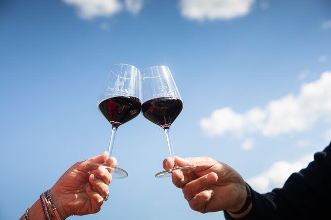 Exclusive lunch, Winery tour, Organic wines in Chianti Classico - Who This Tour is Perfect For