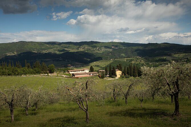 Exclusive lunch, Winery tour, Organic wines in Chianti Classico - Final Thoughts