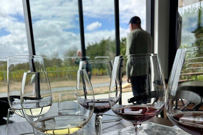 Exclusive Martinborough Wine Tour - An In-depth Look at the Experience