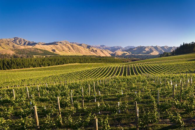 Exclusive Picton Wine & Scenic Adventure: VIP Cruise Experience - A Closer Look at the Picton Wine & Scenic Tour