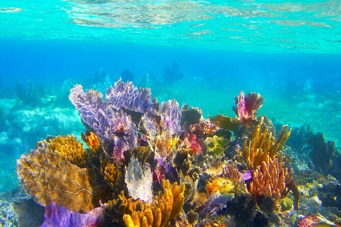 Exclusive Private Boat to El Cielo - Why Choose the Private Boat to El Cielo?