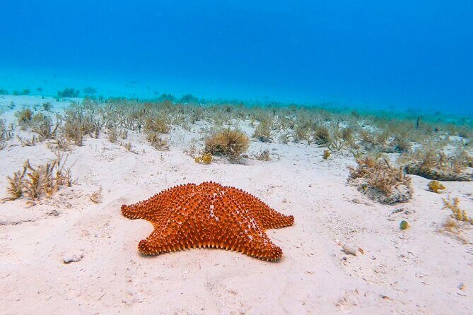 Exclusive Private Boat to El Cielo - Practical Tips for Your Trip