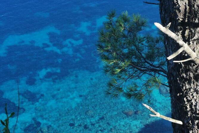 Exclusive Private Boat Tour to capri & Amalfi coast from Sorrento - The Sum Up: Why Choose This Private Boat Tour?