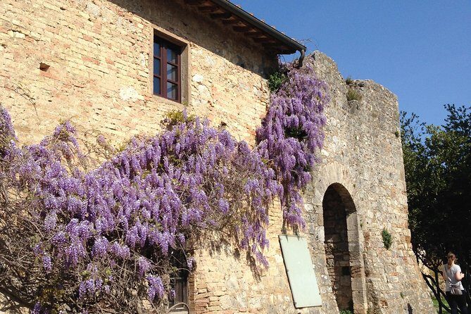 Exclusive Private tour To Siena and San Gimignano - Unpacking the Experience: What You Can Expect