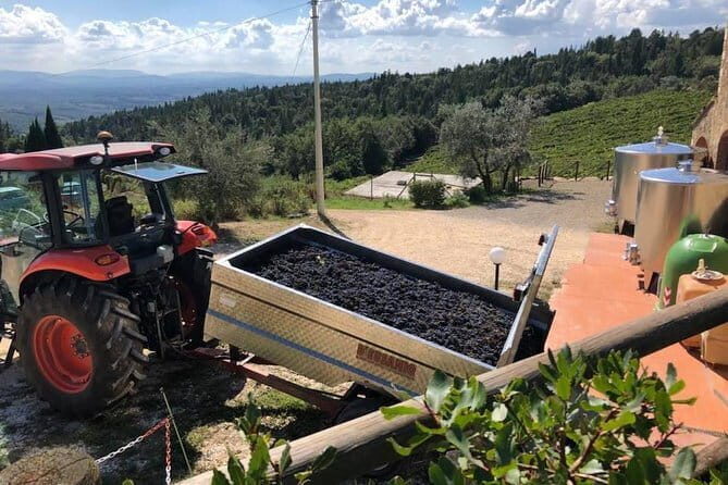 Exclusive Private Tuscany Wine Tour & Food Pairing Session - The Experience: What to Expect