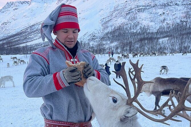 Exclusive Reindeers Experience in small groups, Tromso - The Value of the Experience