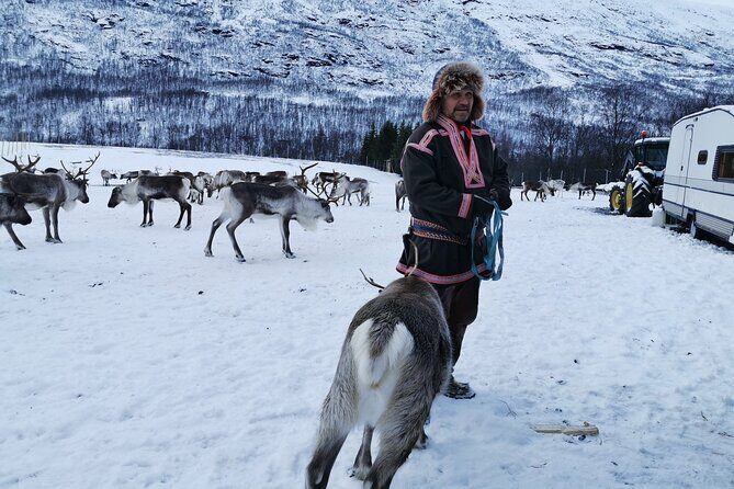 Exclusive Reindeers Experience in small groups, Tromso - Practical Tips for Travelers