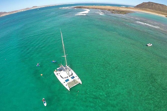 Exclusive Sailing Catamaran Experience to Lobos Island with lunch - Key Points