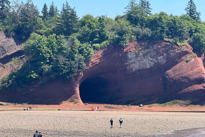 Exclusive Sightseeing Tour in Saint John - Key Points