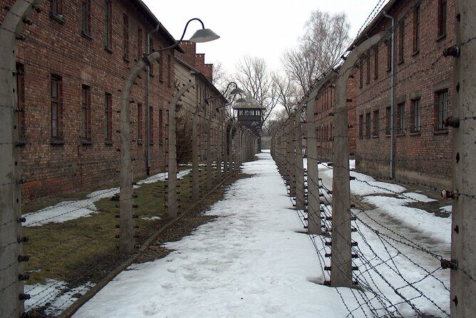 Exclusive Small Group Auschwitz-Birkenau Guided Tour from Krakow - Transportation: Comfort and Convenience