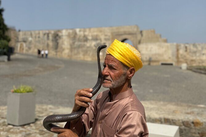 Exclusive Tangier Tour from Gibraltar with Camel Ride and Lunch - The Complete Tour Breakdown