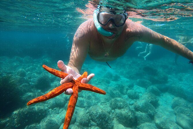 Exclusive tour max 9 people Tropea Coast of the Gods - Key Points