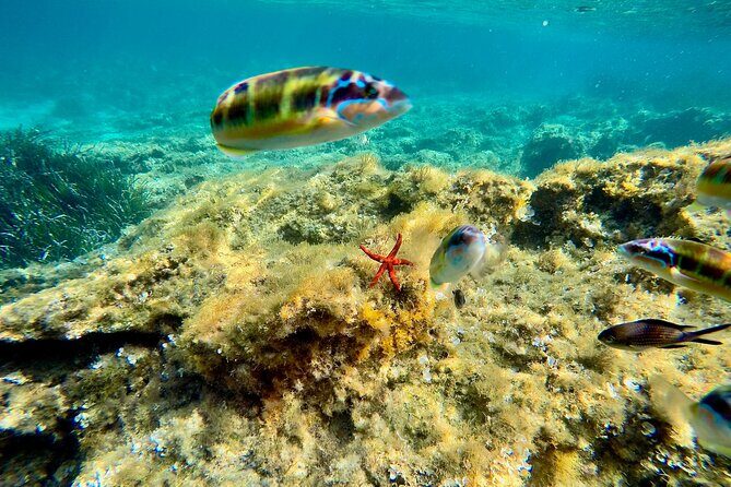 Exclusive tour max 9 people Tropea Coast of the Gods - Final Thoughts: Is It Worth It?